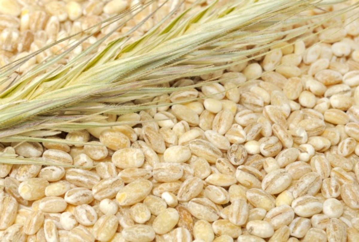 Grains - Nine Rivers Distilllery